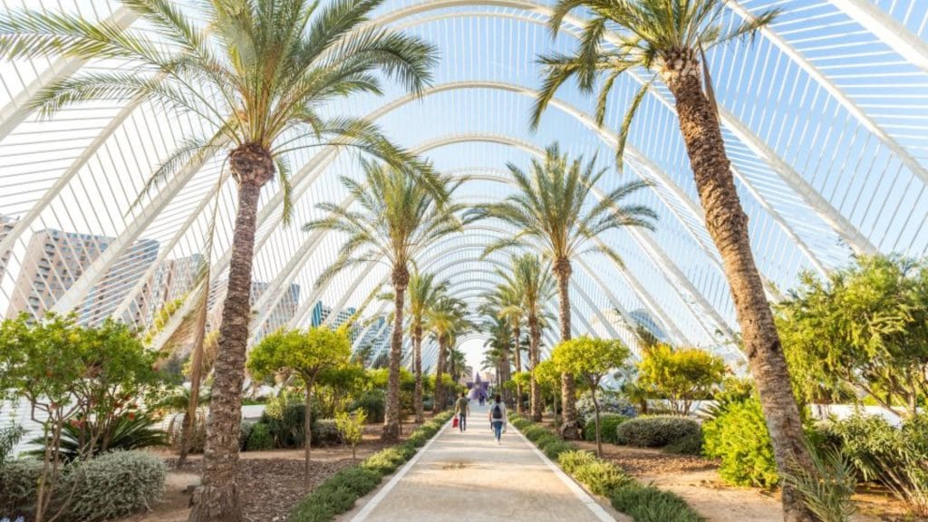 ︎ Descubre La Ciudad de las Artes y las Ciencias - Plan Valencia